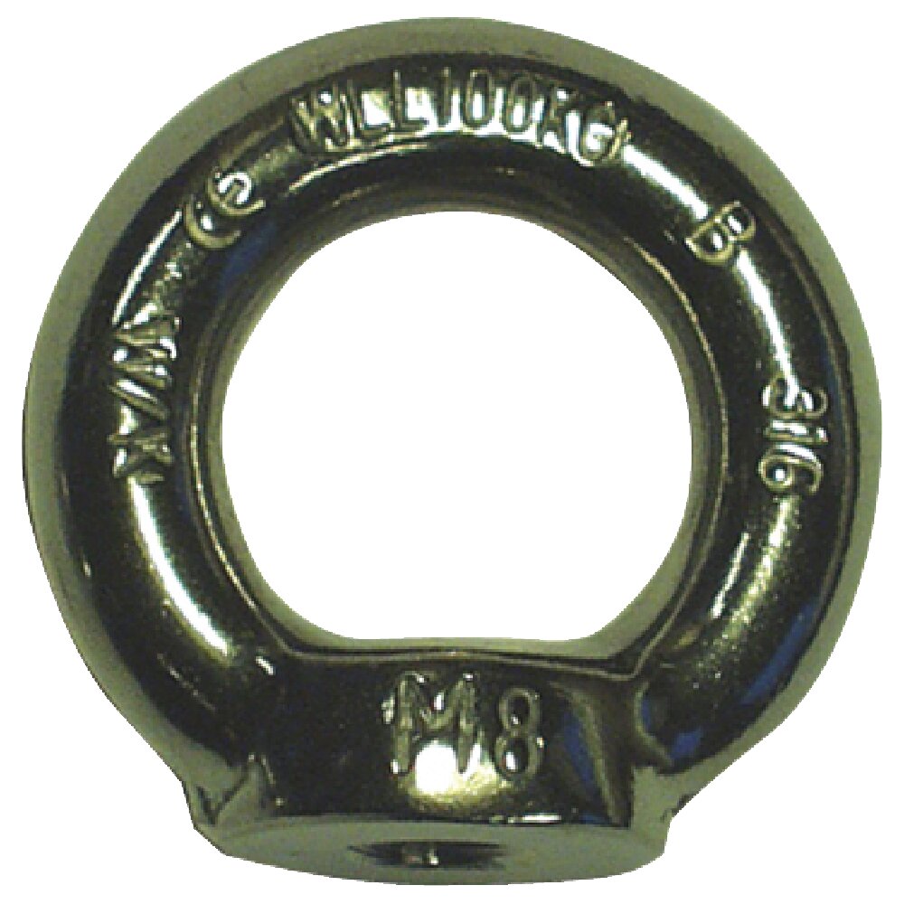 Stainless Lifting Eye Nut DIN 582 | CERTEX Denmark